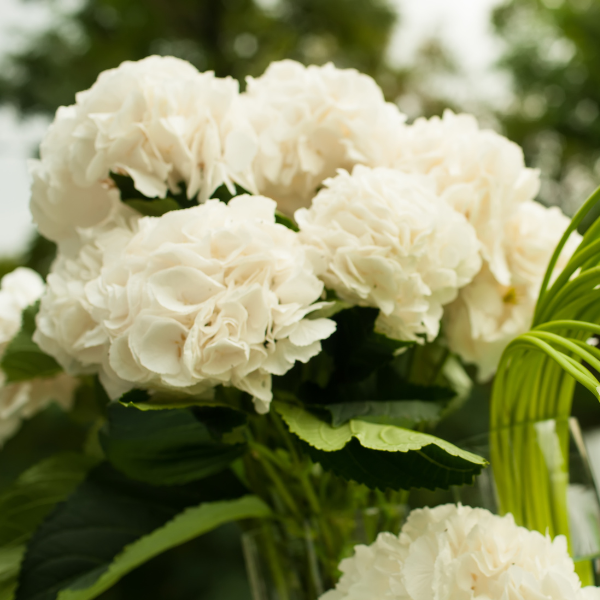 Shop Artificial Flowers + Floristry – Realistic Artificial Flowers