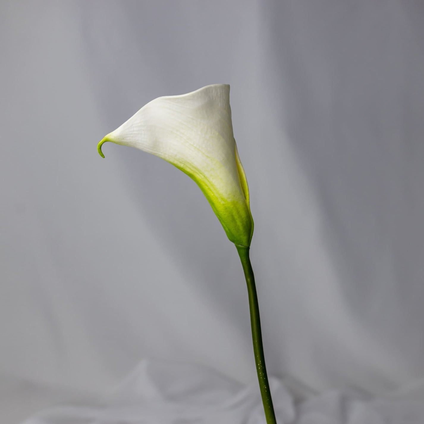 Soft Green Mini Calla Lily - Realistic Artificial Flowers