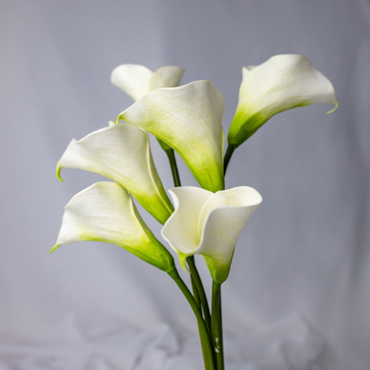 Soft Green Mini Calla Lily - Real Touch – Realistic Artificial Flowers