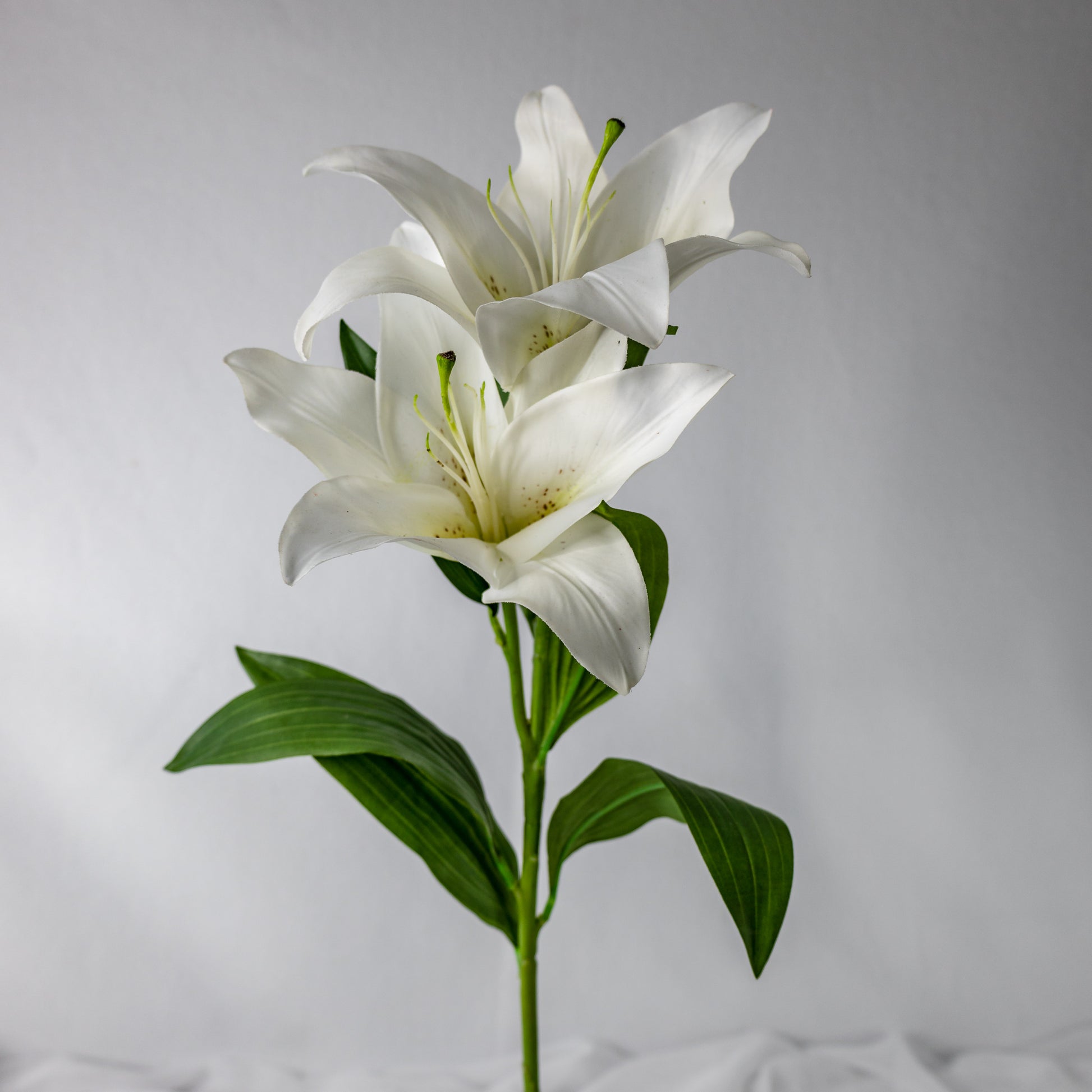 White Oriental Lily - Realistic Artificial Flowers