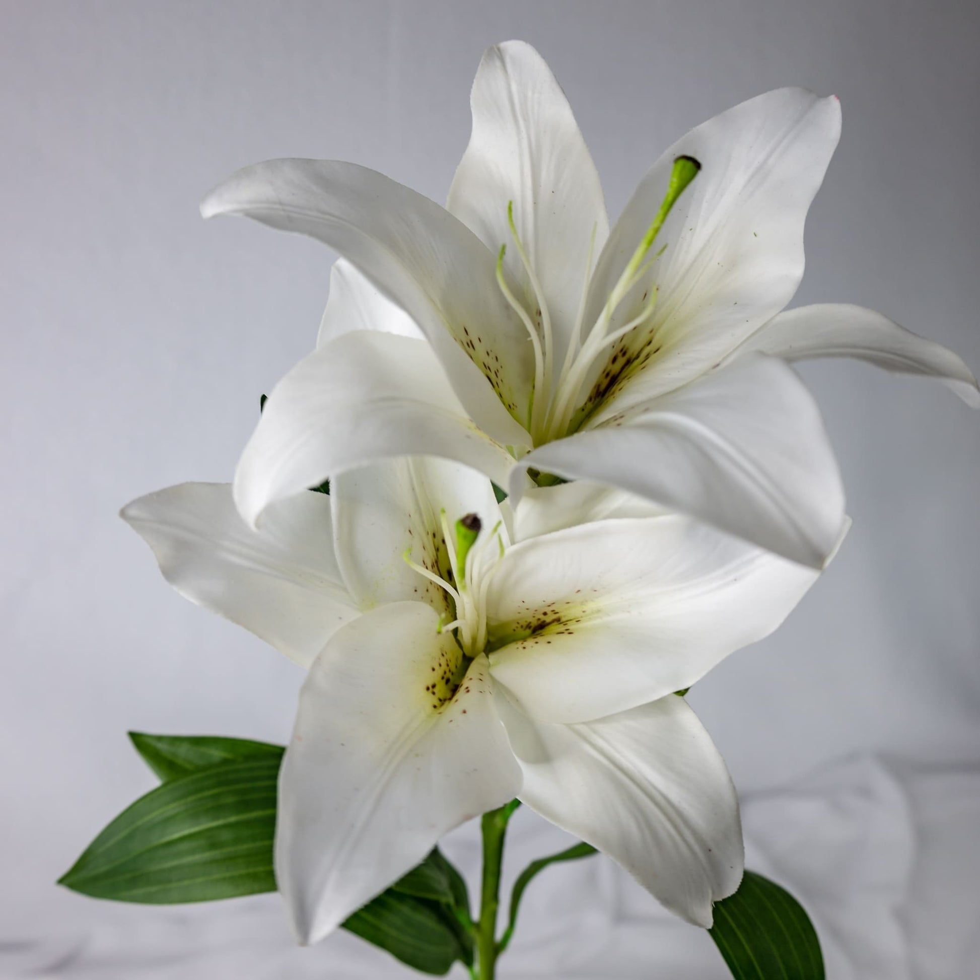 White Oriental Lily - Realistic Artificial Flowers