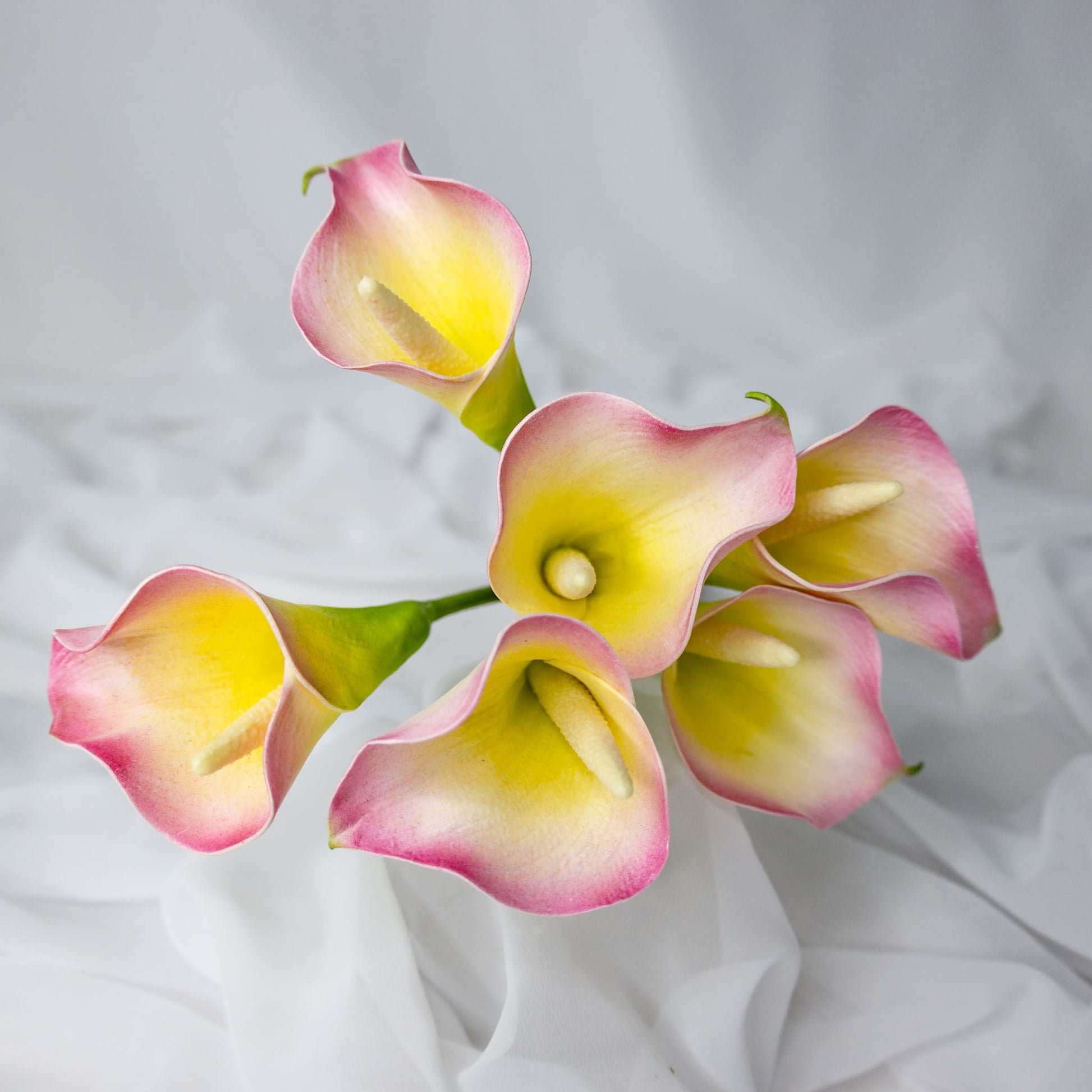 Yellow/Pink Mini Calla Lily - Realistic Artificial Flowers
