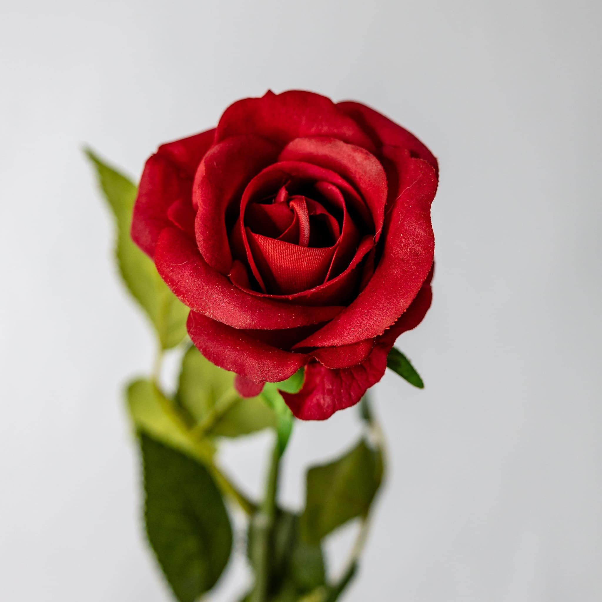 Red Real Touch Half Bloom Rose - Realistic Artificial Flowers