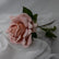 Dusty Pink Rose Real Touch Full Bloom - Realistic Artificial Flowers