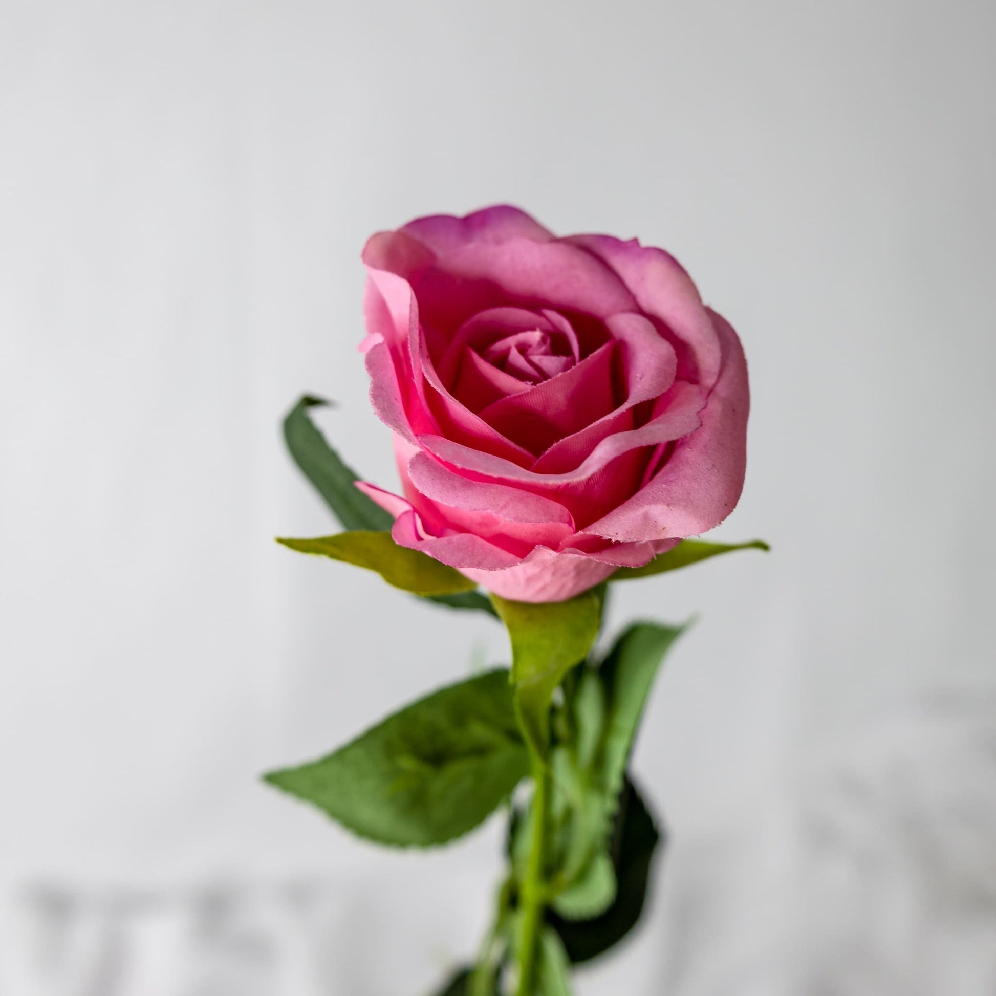 Pink Real Touch Half Bloom Rose - Realistic Artificial Flowers